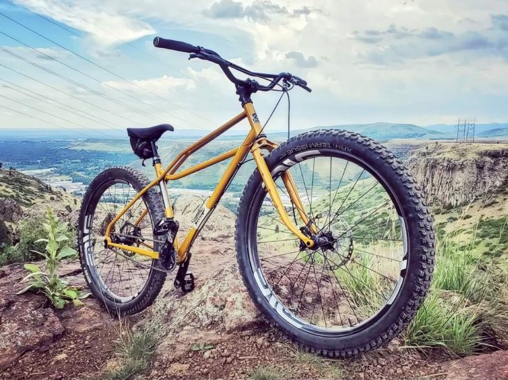 Speedbomb 29+ (ETA 2025) – Stooge Cycles